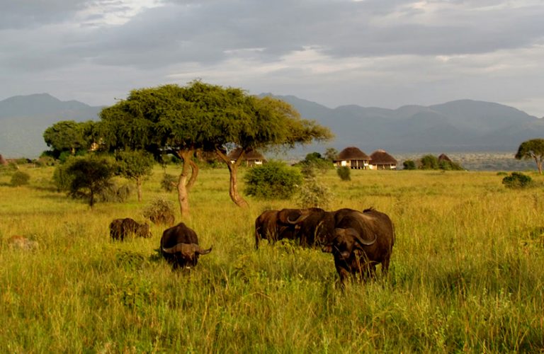 List of all Uganda National Parks