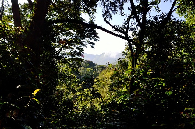Climate and Seasons in Uganda