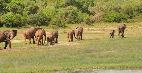 Aswa - Lolim Game Reserve