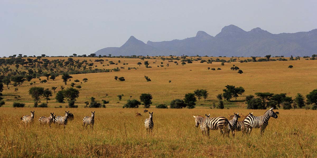 Lake Mburo National Park - Uganda national parks