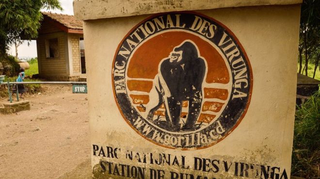 Virunga National Park | Congo National Parks | Congo Safari Tours