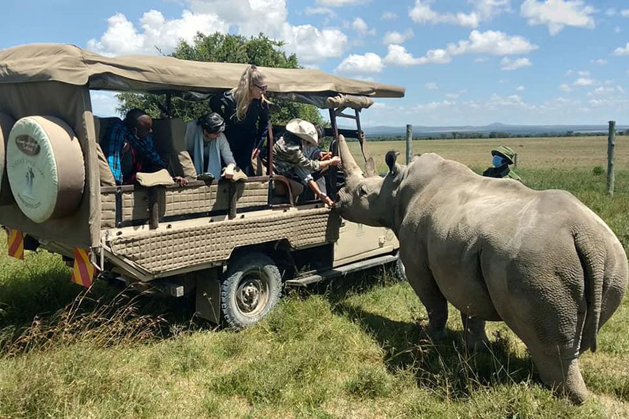 Best Combined Kenya Safari Tours | Maasai Mara | Lake Nakuru N.p