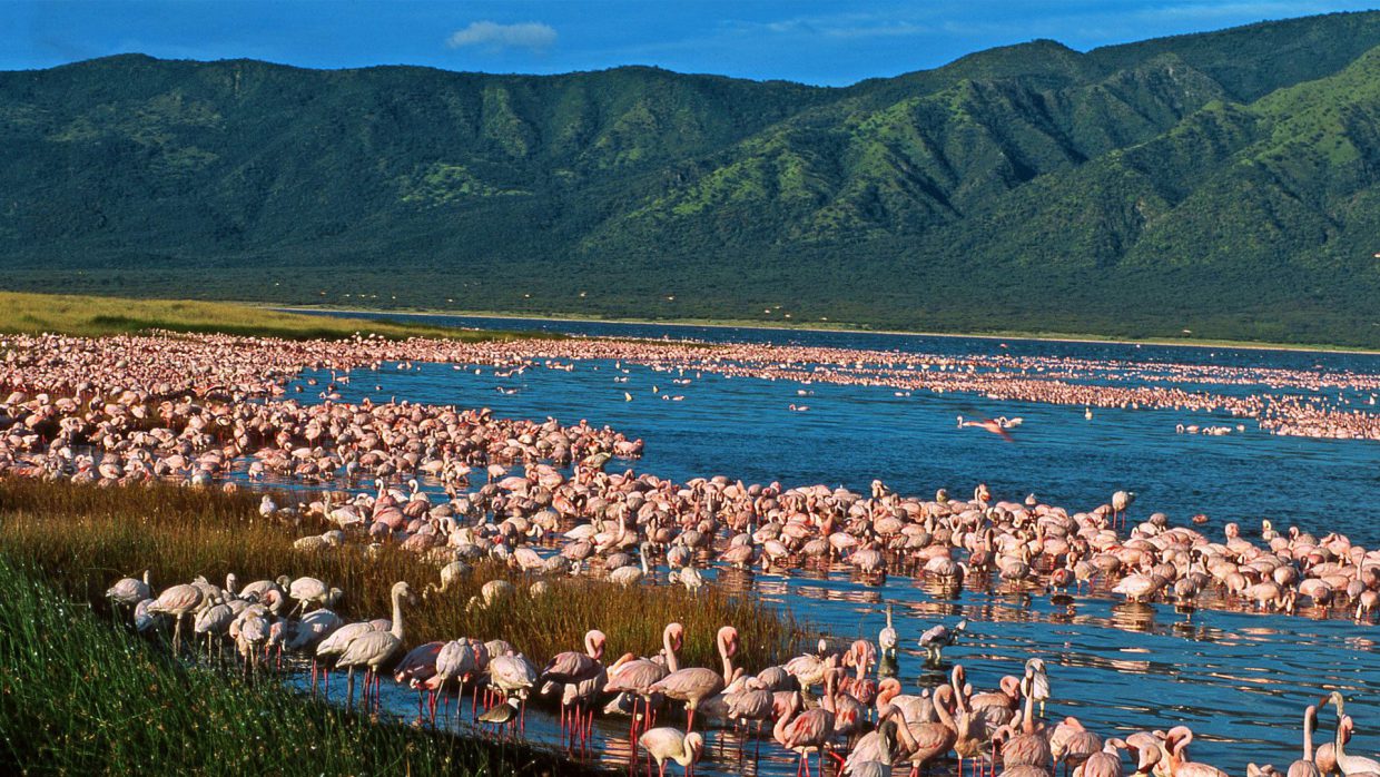 Lake Elmenteita | Lake Elementaita | Kenya Safaris Tours | Kenya Tour