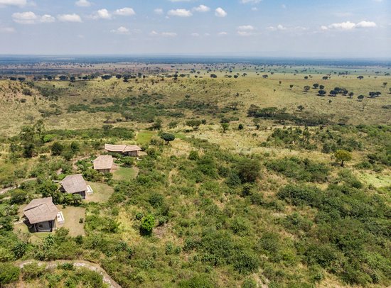 Wildlife Reserves in Uganda | Uganda Safaris Tours | Uganda Tours