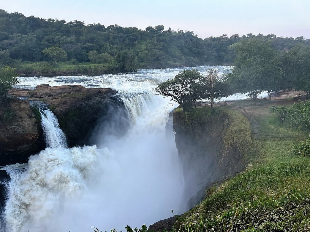What Is Murchison Falls National Game Park Famous For? | Uganda