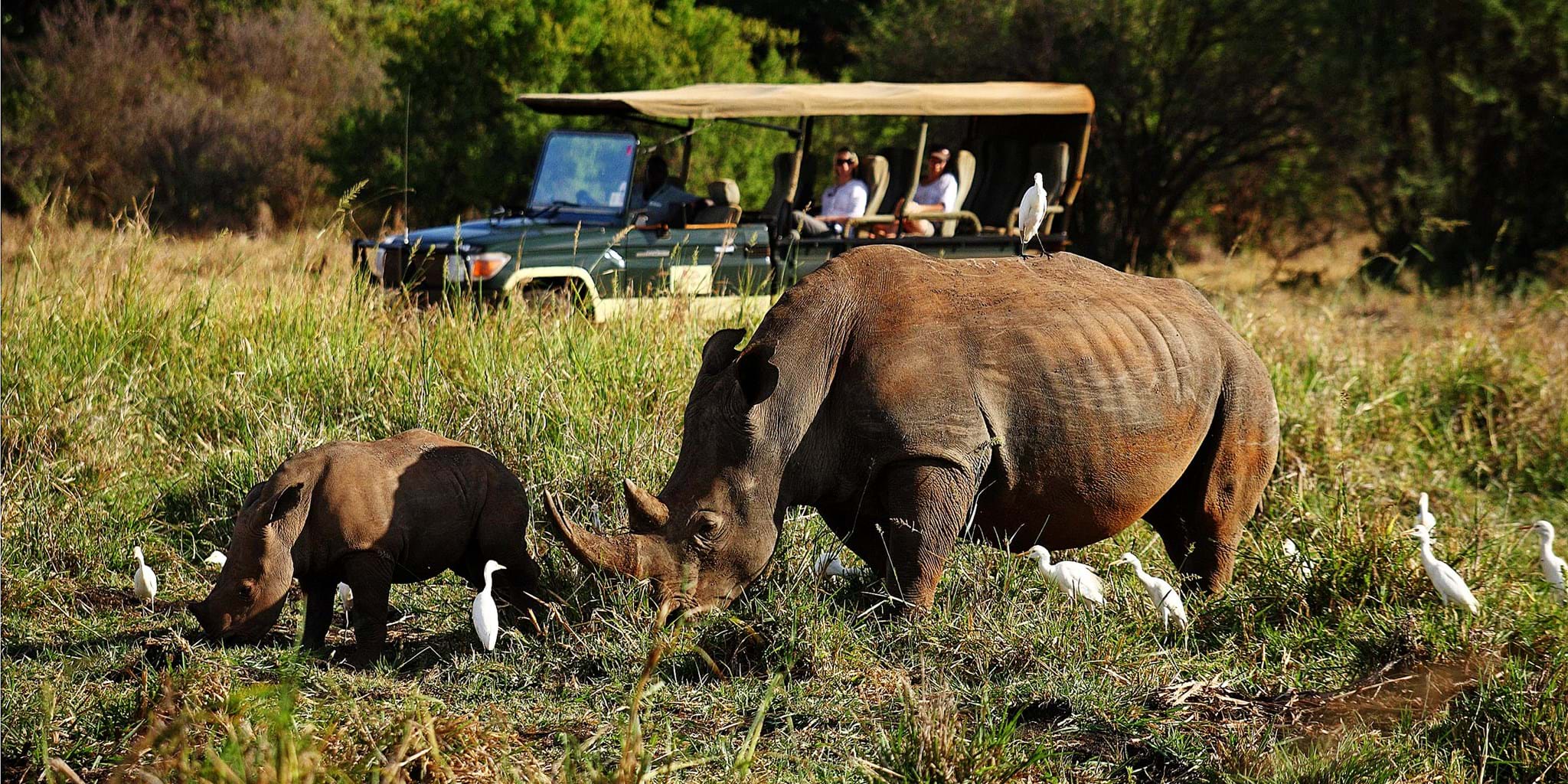 A Visit To Meru National Park | Kenya Wildlife Tours | Kenya Safari