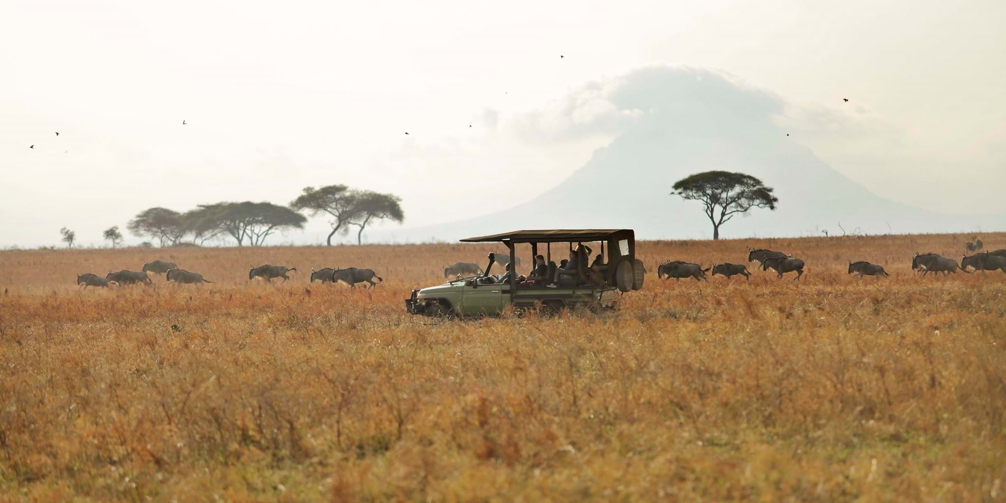 Rules And Regulations To Follow When Driving In Tanzania?