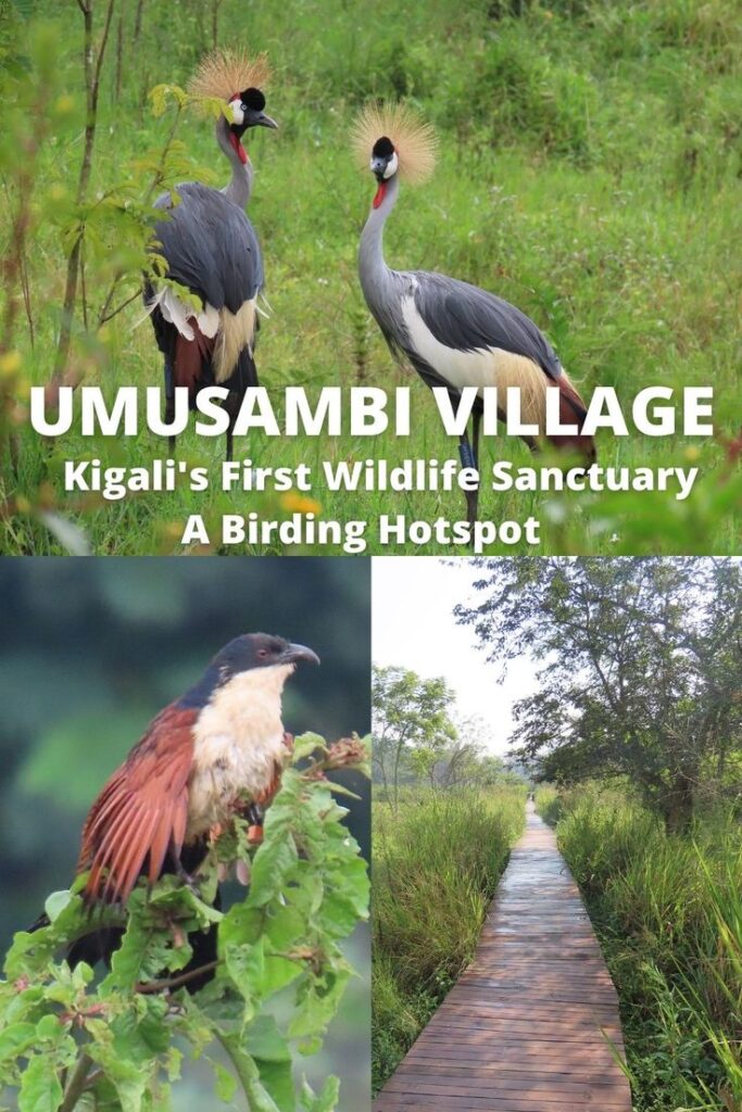 Exploring Umusambi Conservancy Village | Rwanda Safaris
