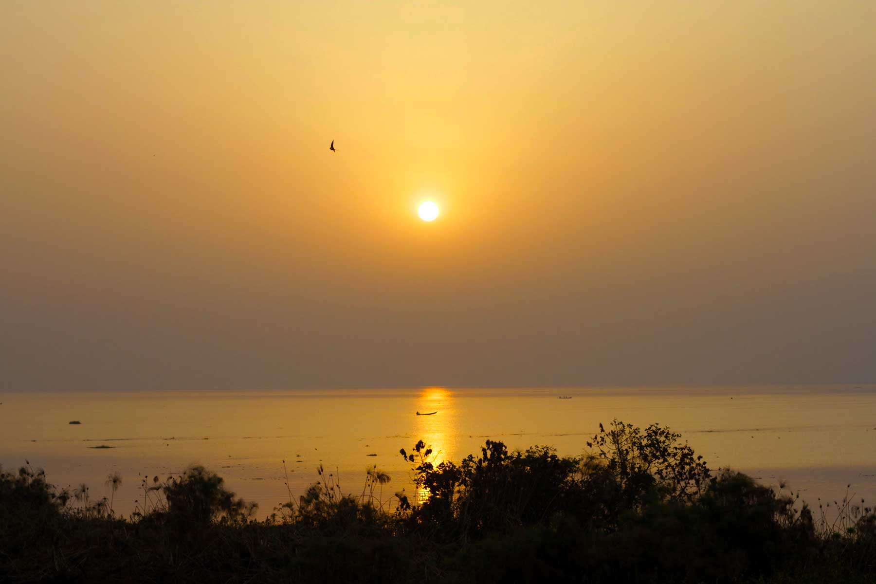 Exploring the Hidden Beauty of Lake Kyoga | Uganda wildlife safari